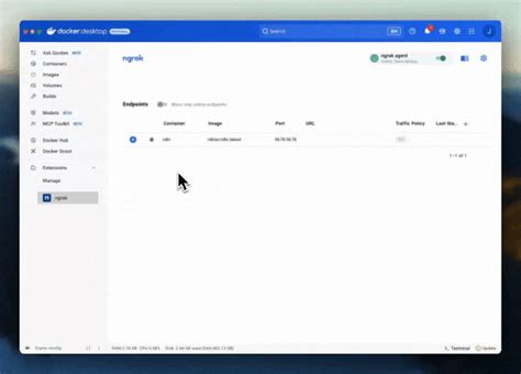 The Ngrok Docker Desktop Extension Instant Endpoints For Your Local Containers Ngrok Blog