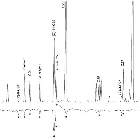 Simultaneous Recordings Of Gc Flame Ionization Detector [fid] And Download Scientific Diagram