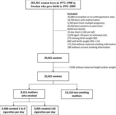 Sex With A Woman Who Recently Gave Birth Photos Porn Ddeva