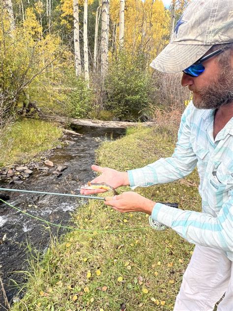 1 B1178 D8 2 F4 E 4 B2 E B2 D3 Fdf6020 C371 D — Postimages