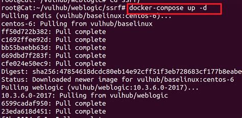 Docker 环境及vulhub靶场的搭建 知乎