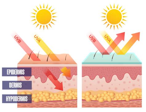 Difference Between Uva And Uvb Rays Wear Spf