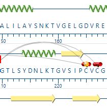 Protein Sequence Analysis Workflow DNASTAR