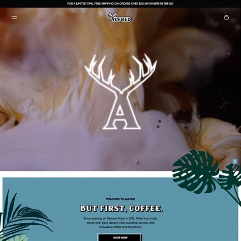 Shopify Ecommerce Store Examples Shopify