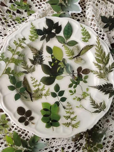 40pcs Leaf Pattern Sticker Shein Usa