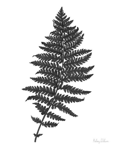 Neutral Fern Black Ii Fern Tattoo Ferns Japanese Tattoo Art