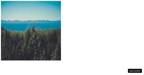 React Image Resizing Forked Codesandbox