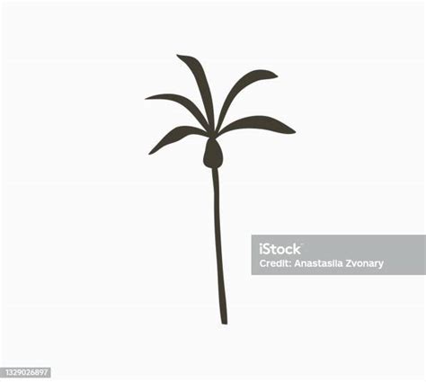 손으로 그린 벡터 추상 스톡 그래픽 여름 시간 만화 미니멀 일러스트 프린트 로고 요소 흰색 배경에 고립 된 아름다운 열대 야자 수 실루엣 공휴일에 대한 스톡 벡터 아트 및