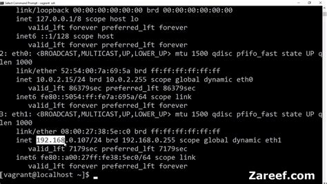 Public Network Vagrant The 9 New Answer