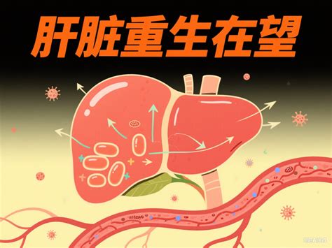 Nat Biomed Eng 器官再生颠覆发现：血管内皮才是肝脏总工程师 知乎