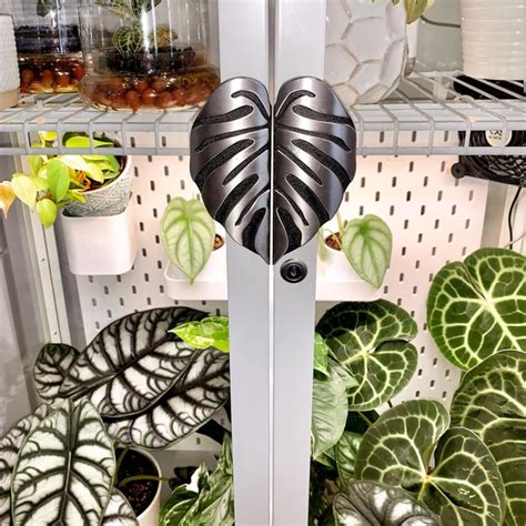 Monstera Leaf Brass Knobs And Pulls Turtle Leaf Drawer Knobscabinet Pullswardrobe Pull