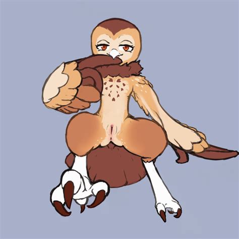 Rule 34 Anthro Anus Avian Barn Owl Beak Bird Brown Body Feathers Female Genitals Hi Res Masked