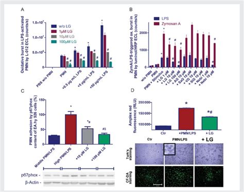 Effects Of Dpp 4 Inhibitors On Activation Of Wbcs A Quantification Download Scientific