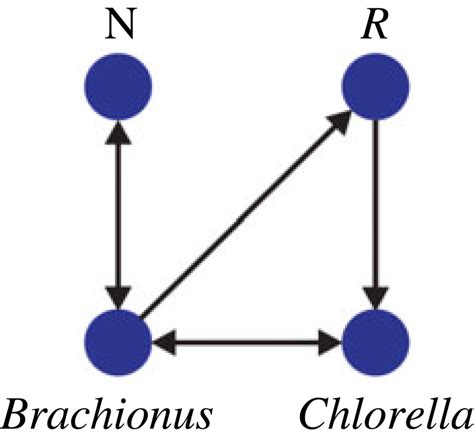 Causal Network Associated With The Predatorprey Mathematical Model