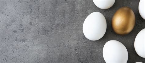 Planisware Orchestra Demo Building A Winning Portfolio On A Reduced Budget Planisware