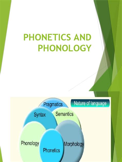Introduction And Production Of Speech Sound Pdf Phonetics Phoneme