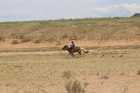 ОЧИРВААНИЙ ХҮЛЭГ МСУХолбоо Дөрвөлжингийн М Баярсайханы жир биш амжилт