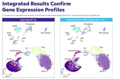 How To Integrate Parse Evercode And Droplet Based Data For Analysis In