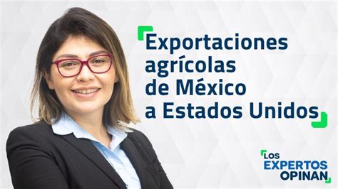 Guía Completa para Exportar Carne de México a Estados Unidos con Éxito Green Light Business
