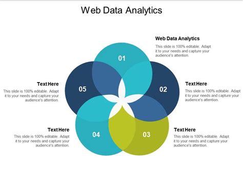 Web Data Analytics Ppt Powerpoint Presentation Design Ideas Cpb