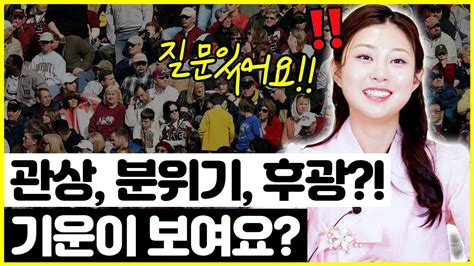 애기씨가 초코님들에게 질문드려요 여러분들은 기운 이라는 것이 보이나요 YouTube