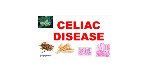 Celiac Disease Pathology Made Simple