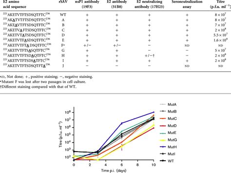 Rsav Mutant Characterization Download Table
