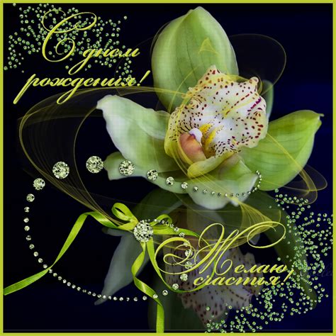 С днем рождения оля открытки красивые картинки