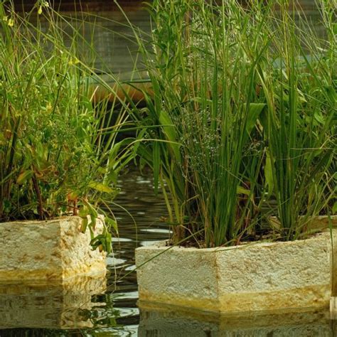 Risd Researchers Create Floating Mycelium Pods To Cleanse Waterways