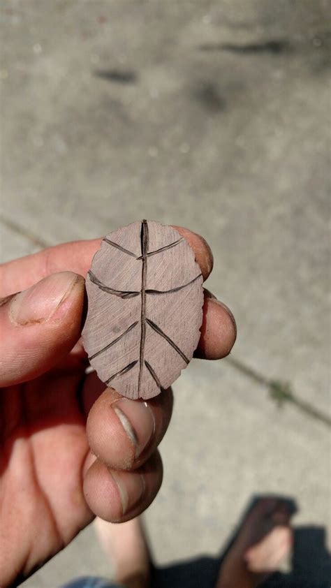 Pin On Madera Turtle Shell Carving Hand Carved Pin On Madera Turtle Shell Carving Hand Carved