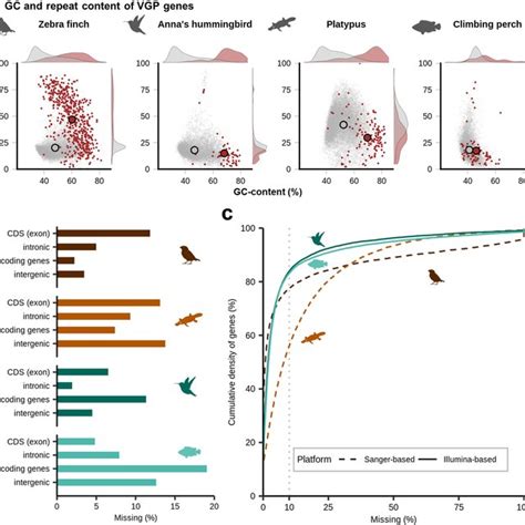 Amount And Characteristics Of Missing Genes And Exons A Gc And Repeat Download Scientific