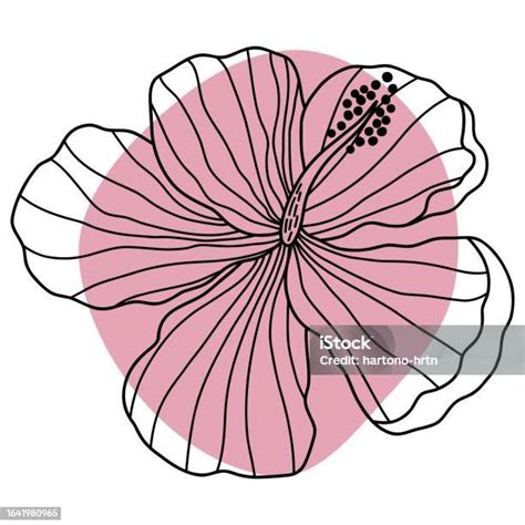 모양이 있는 히비스커스 꽃 라인 꽃을 테마로 한 벡터 그림 청첩장 미적 장식 소셜 미디어 게시물 배너 프로모션 광고 등에 적합합니다 0명에 대한 스톡 벡터 아트 및 기타
