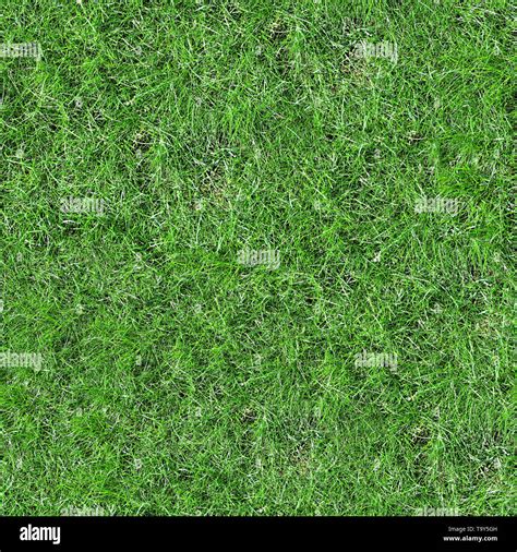 Grass Seamless Texture Tile Stock Photo Alamy