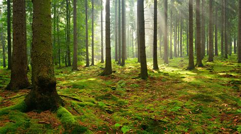 トップページ Find Your Compass