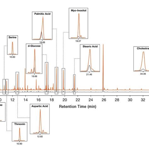 Cisplatin Treated Pgcc Enriched Cells Have A Distinct Metabolic