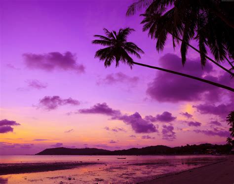 Purple Beach Hd Wallpapers Top Free Purple Beach Hd Backgrounds