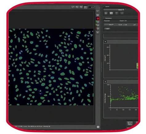 How To Extract Quantitative Data From Your Image Using The AI Pixel
