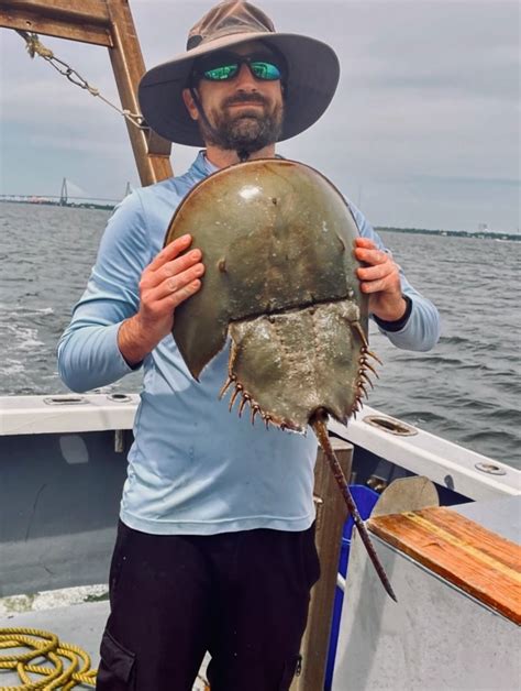 College Of Charleston Daniel Sasson