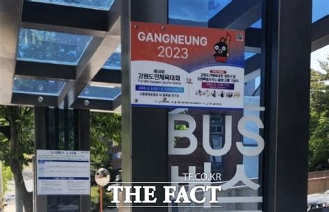 강릉시 강원도민 위한 양대체전 준비 착착 전국 기사 더팩트