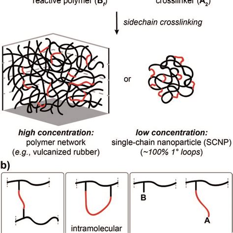 A Schematic For Sidechain Crosslinking Of Polymer Bf With Crosslinker