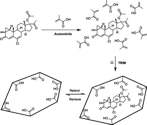 Schematic Representation Of The Mip Synthesis For Cyproterone