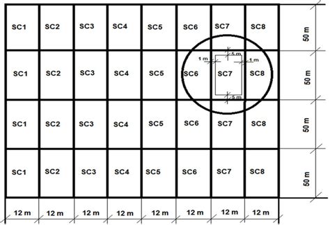 Scheme Of Experimental Field Study Scenarios Download Scientific Diagram