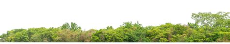 Green Screen Background Pngs For Free Download