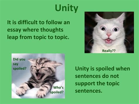 Unity Coherence Development PPT