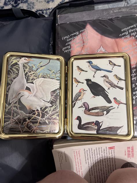 Help Identifying This Photo R Whatsthisbird