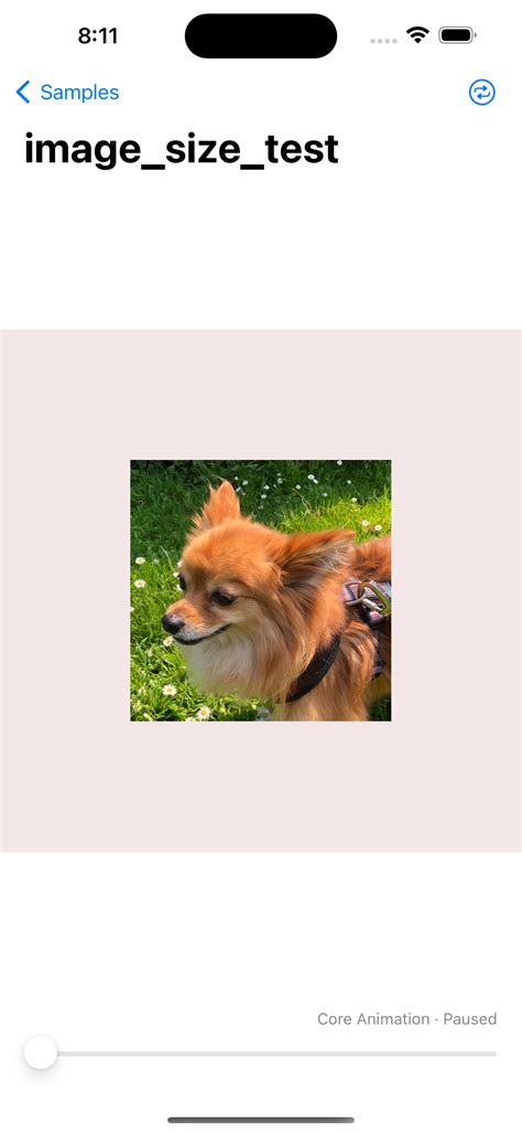 Renderer Parity Issue Image Layers Placement · Issue 1913 · Airbnb