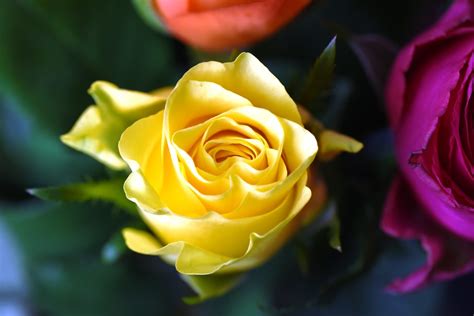 Dsc 7802 Paul Judge Flickr