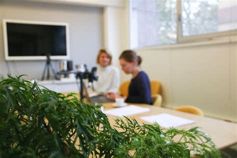 Formation Tests Utilisateurs Pour Les Professionnels De Lux Wexperience