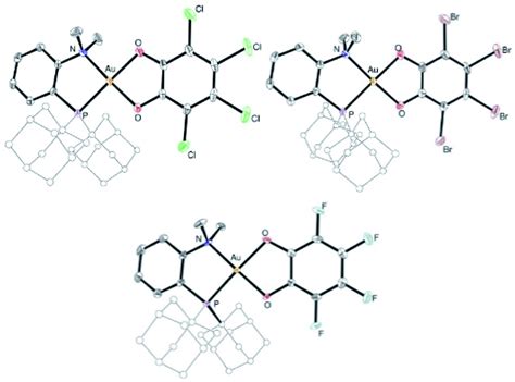 Molecular Structures Of The Pn Auiii Catecholate Complexes 5ac For