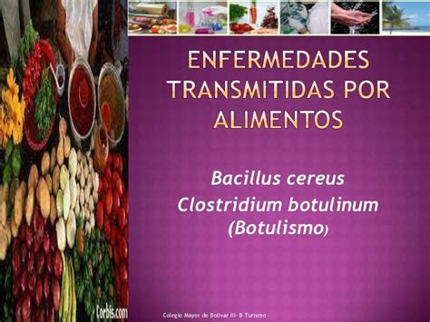 Bacillus Cereus